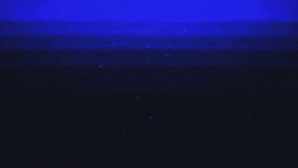 Congregate GIFs - Get the best GIF on GIPHY