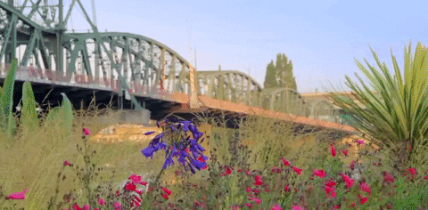 Createpride Portland GIFs - Get the best GIF on GIPHY