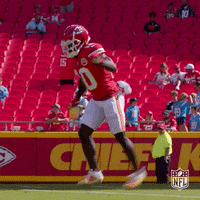 Top 5 GIFs from Week 3! by NFL | GIPHY