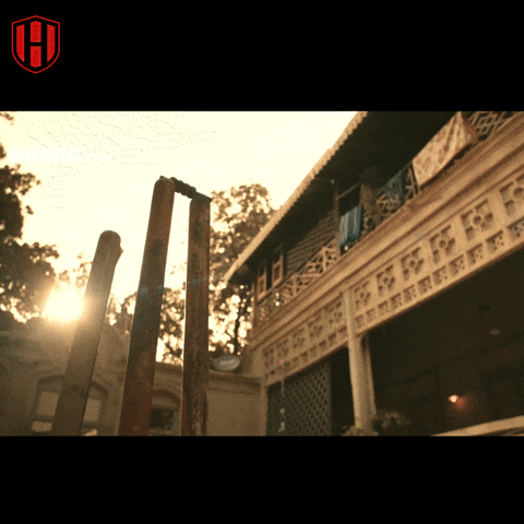 India Cricket Win GIF by Howzat - Find & Share on GIPHY