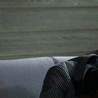 MAFS: Un-Bear-Able Truth by Lifetime | GIPHY