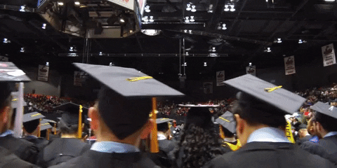 Niu Graduates GIFs - Get the best GIF on GIPHY