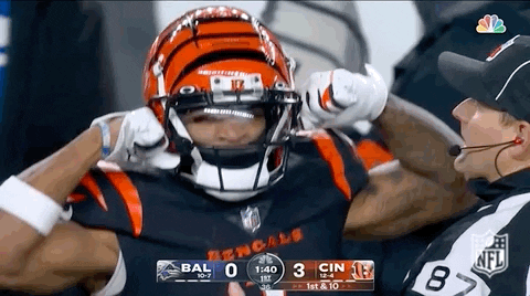 Nfl Playoffs Football GIF by NFL - Find & Share on GIPHY