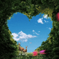 Nature Animated Gif