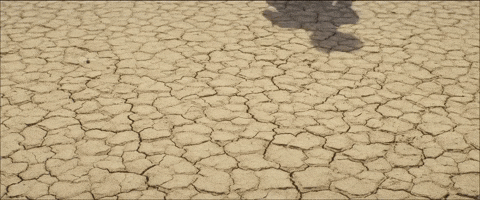 Drought is getting worse in America - Topics - The World News Media