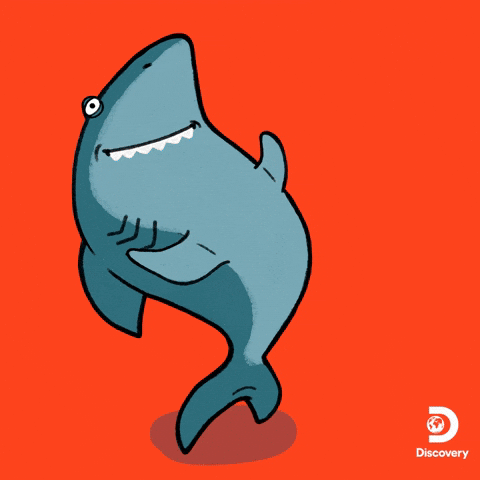 Animated Shark Gif
