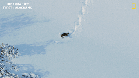 Snow Falling GIF by National Geographic Channel - Find & Share on GIPHY