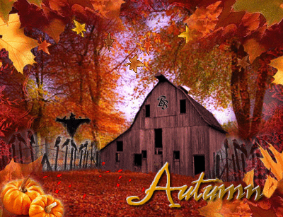 Autumn Pictures GIFs - Get the best GIF on GIPHY