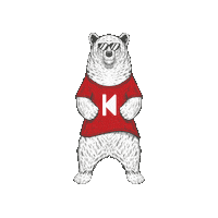 Skippy the Bear GIFs on GIPHY - Be Animated