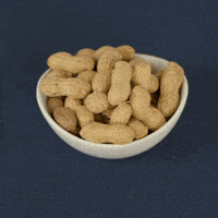 These-nuts GIFs - Get the best GIF on GIPHY