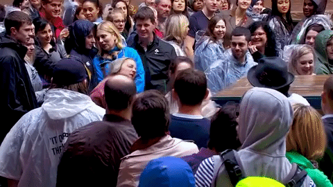 Fight ! GIF - Find & Share on GIPHY