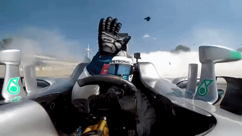 F1-doughnuts GIFs - Get the best GIF on GIPHY