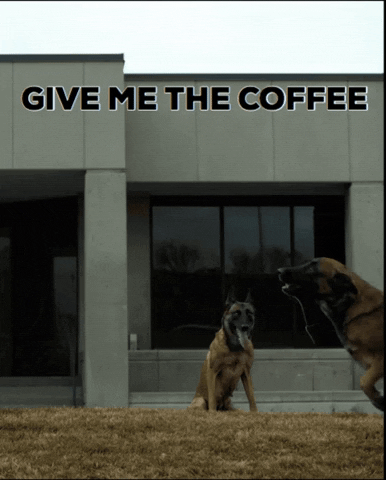 Coffee Or Die GIF by Black Rifle Coffee Company - Find & Share on GIPHY