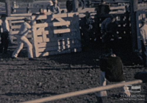 Rodeo Event GIFs - Get the best GIF on GIPHY
