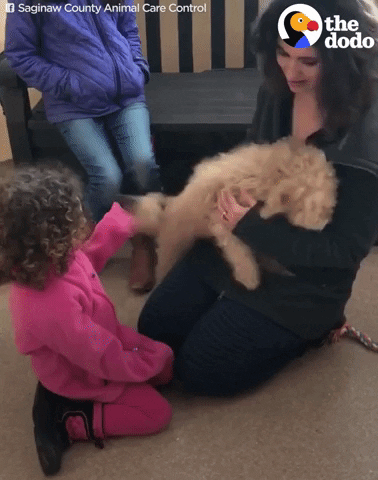 Dog-reunion GIFs - Get the best GIF on GIPHY