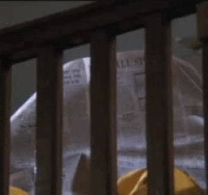 Enclosed GIFs - Get the best GIF on GIPHY