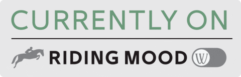 Shawis GIFs on GIPHY - Be Animated