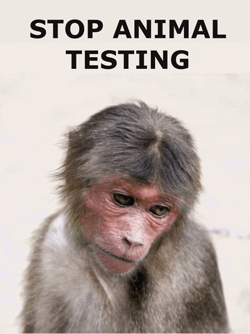 Animal Testing GIFs - Get the best GIF on GIPHY