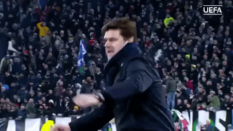 sports, football, soccer, sport, futbol, champions league, uefa, ucl ...