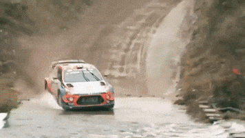 Rally Argentina Motorsport GIF by FIA World Rally Championship - Find ...