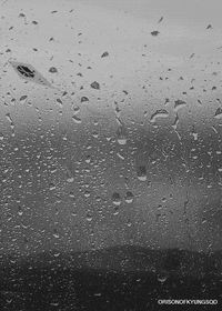 Window Rain Gif