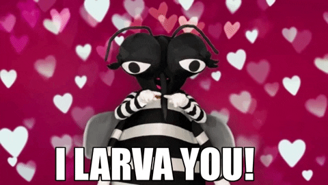 Mosquito-larvae-control GIFs - Get the best GIF on GIPHY