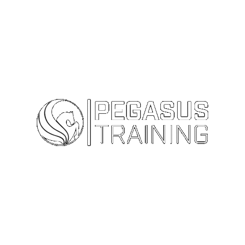 Pegasus Training GIFs on GIPHY - Be Animated