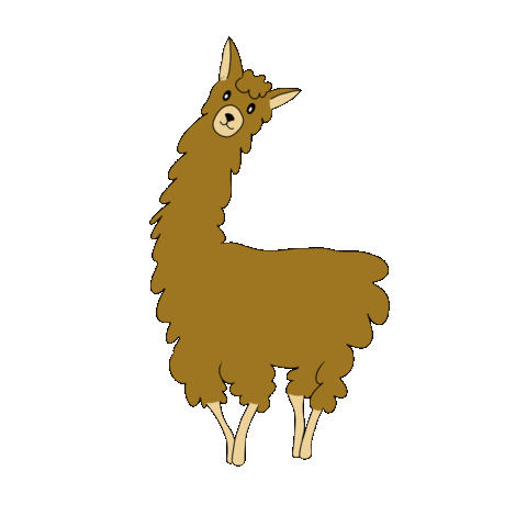 Alpaca Animated Gif