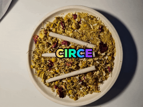 Circe GIFs - Get the best GIF on GIPHY