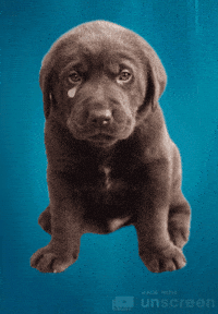 Sad Dog Animated Gif