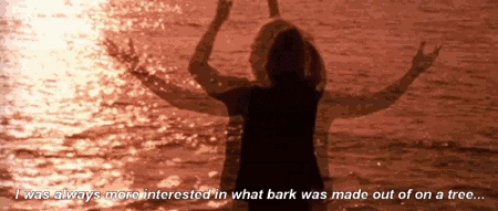 Insight-socialmedia GIFs - Get the best GIF on GIPHY