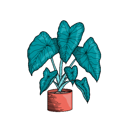 Plantlove by Increase Creativity | GIPHY