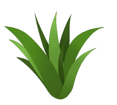 Bush Verde Sticker by Terra Nostra for iOS & Android | GIPHY