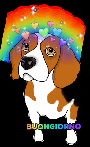 Rainbow Dog GIFs - Get the best GIF on GIPHY