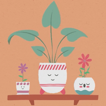 Flowers Spring GIF by evite - Find & Share on GIPHY