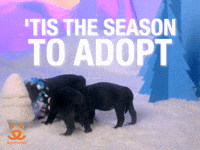 Tis-the-season-to-adopt GIFs - Get the best GIF on GIPHY