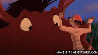 Timon GIFs - Find & Share on GIPHY
