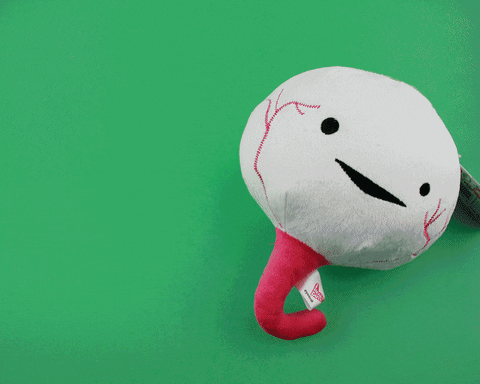 Retinal-disorder GIFs - Get the best GIF on GIPHY