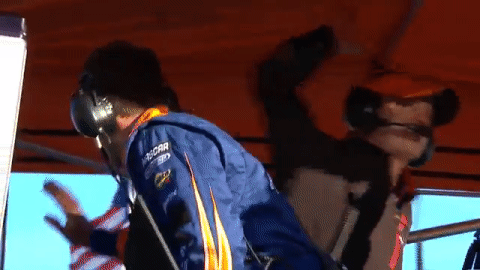 Brad Keselowski Win GIF by NASCAR - Find & Share on GIPHY
