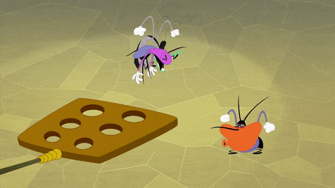 Oggy-oggy-oggy GIFs - Get the best GIF on GIPHY