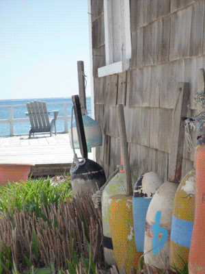 Beach House GIFs - Find & Share on GIPHY