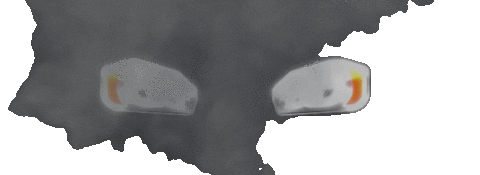 THE CARAGE GIFs on GIPHY - Be Animated