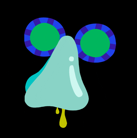 Nose Glasses GIFs - Get the best GIF on GIPHY