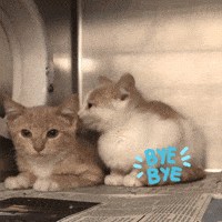 Funny Goodbye Gif