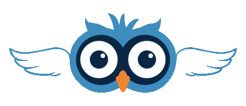 Fly Owl Sticker by Reiseuhu for iOS & Android | GIPHY