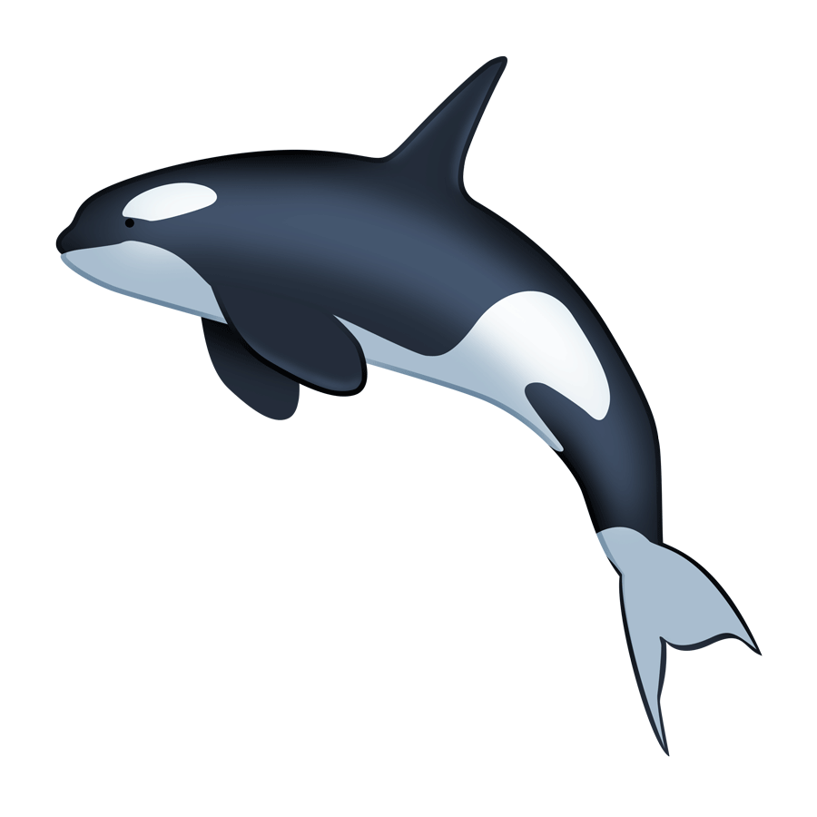Whale Kiwi Sticker by Emotiki - The World's First Māori emoji app for ...