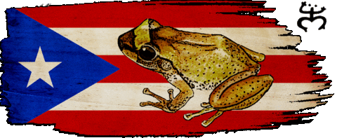 Taino GIFs - Get the best GIF on GIPHY