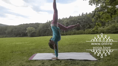 onlineyoga.love GIFs on GIPHY - Be Animated