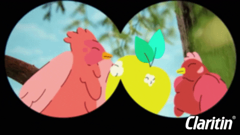 Allergies Allergy GIF by Claritin - Find & Share on GIPHY