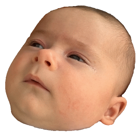 foodbabyny GIFs - Find & Share on GIPHY